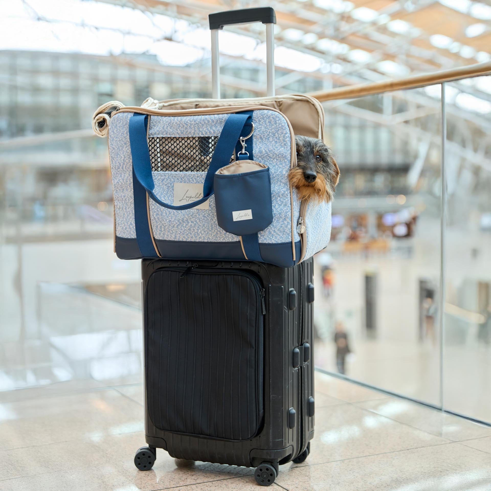 Wunderbar Lufthansa Hundetasche Fur Flugzeug 55x40x23 Bild