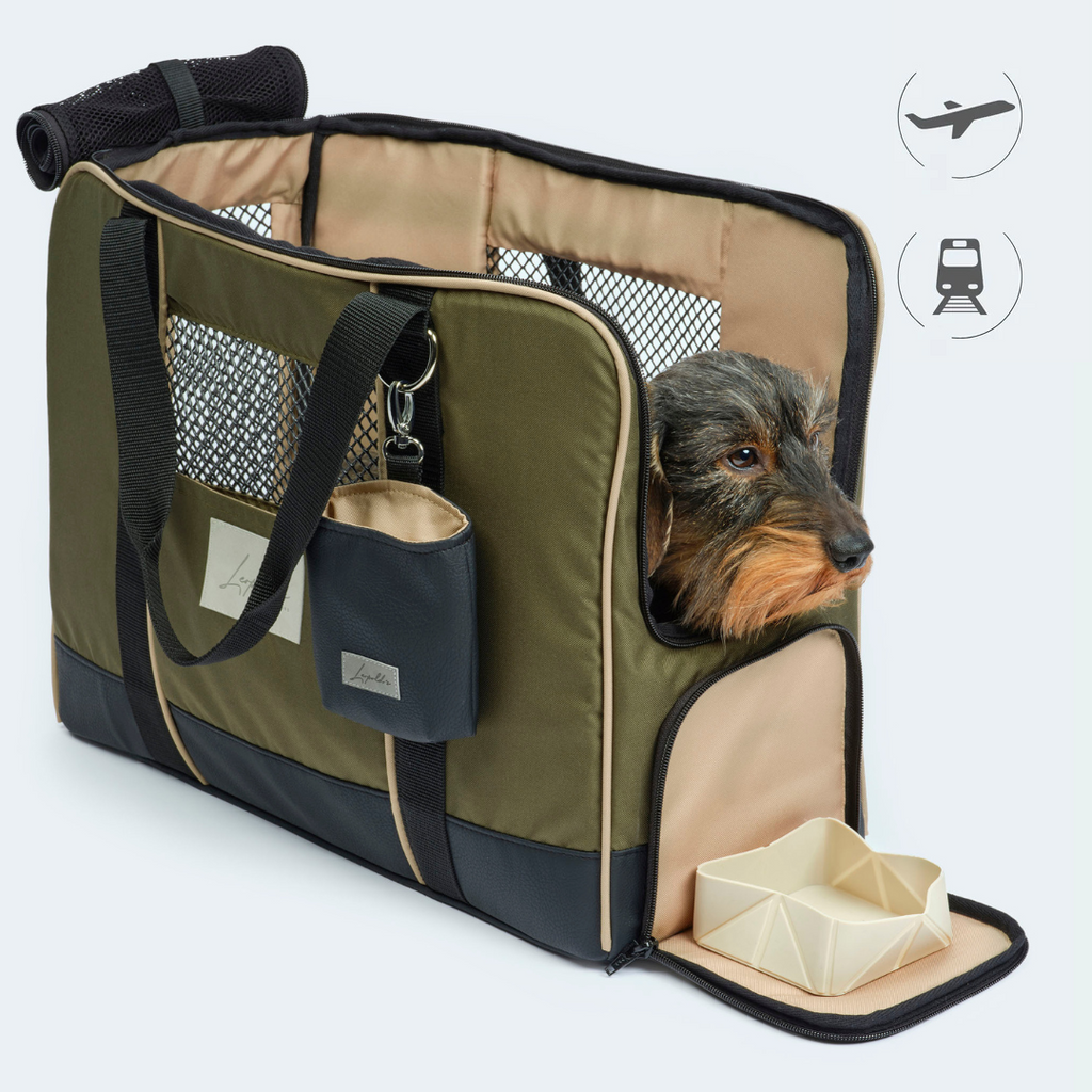 Exklusive Hundetasche fürs Flugzeug für Dackel & kleine Hunde | Leopold ...