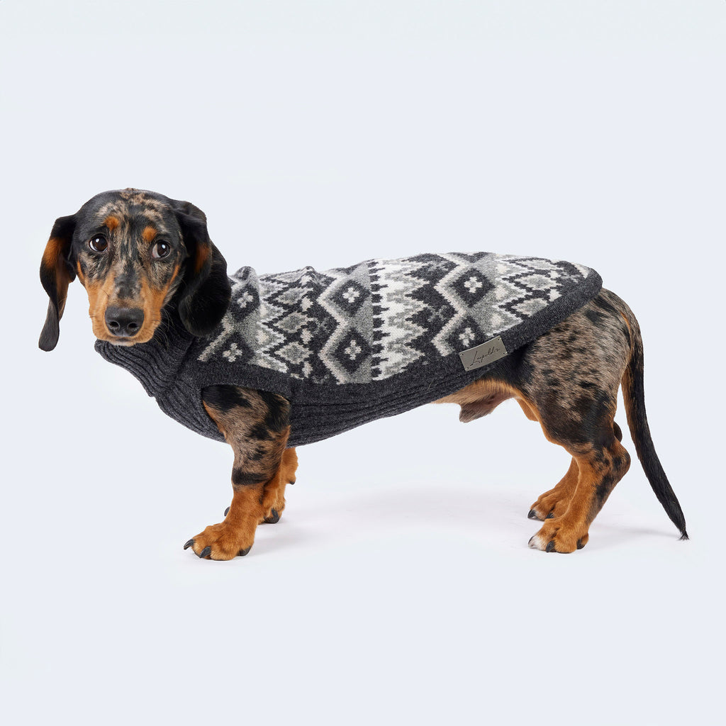 Strickpullover in Jacquard-Muster für Dackel und kleine Hunde ...