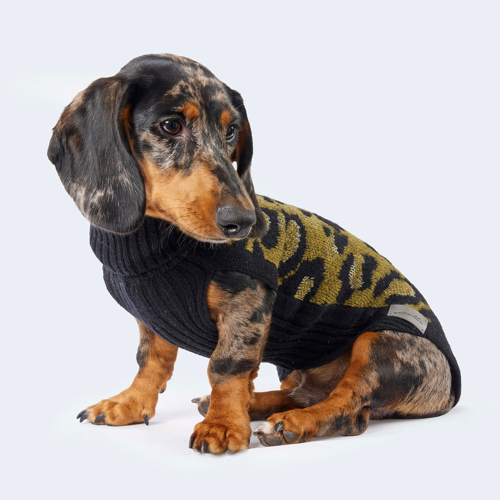 Strickpullover mit Leoparden-Muster für Dackel und kleine Hunde ...